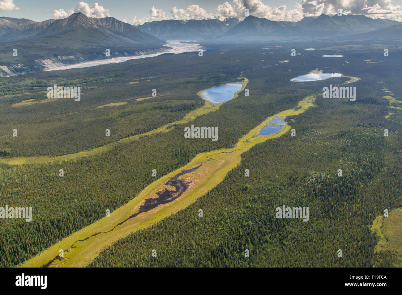 Nizina river hi-res stock photography and images - Alamy