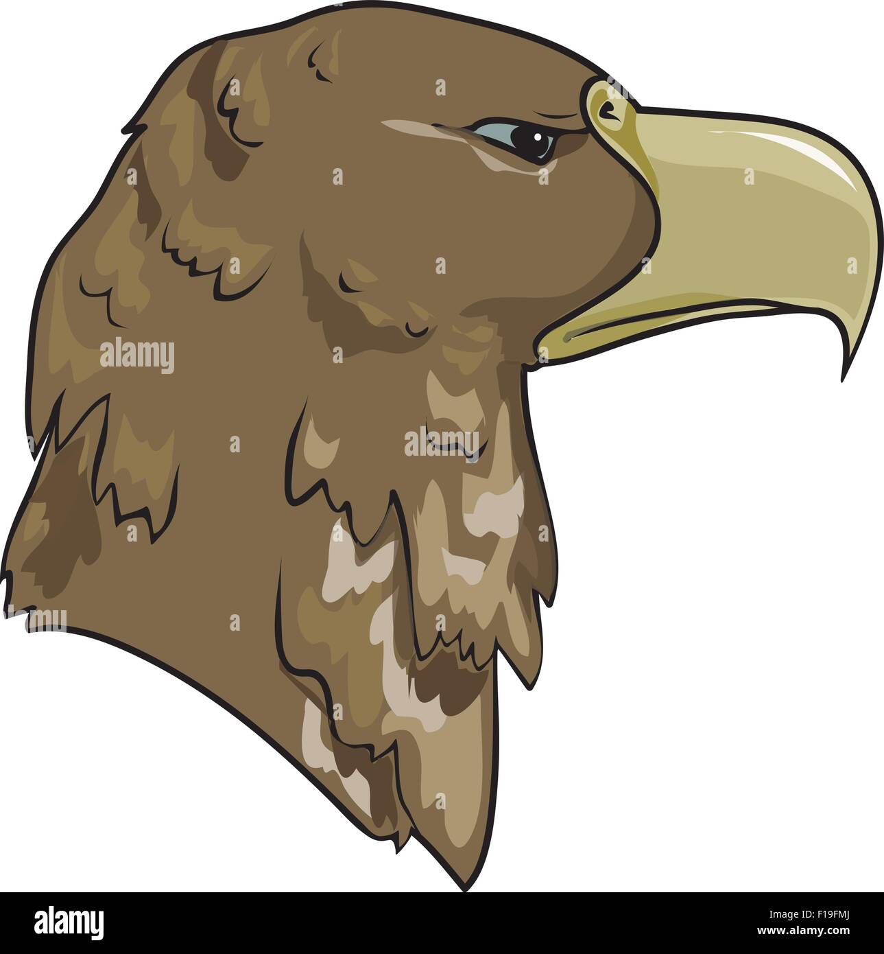 White eagle bird Stock Vector Images - Alamy