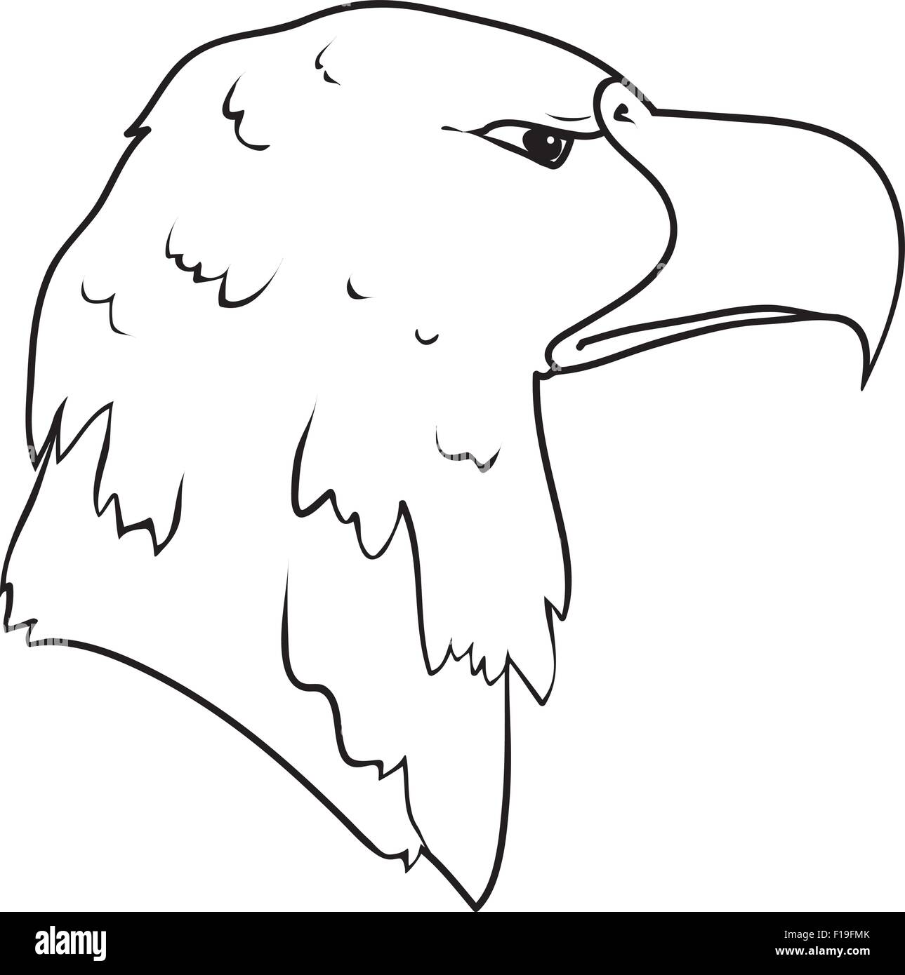 Bald Eagle America Image Black and White Stock Photos & Images - Alamy
