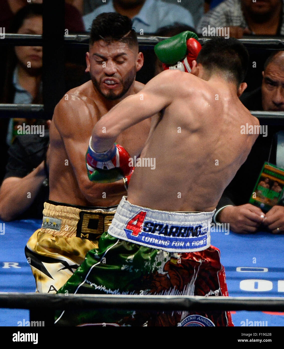 Los Angeles CA. 29th Aug, 2015. ( in red/green trunks) Leo Santa Cruz ...