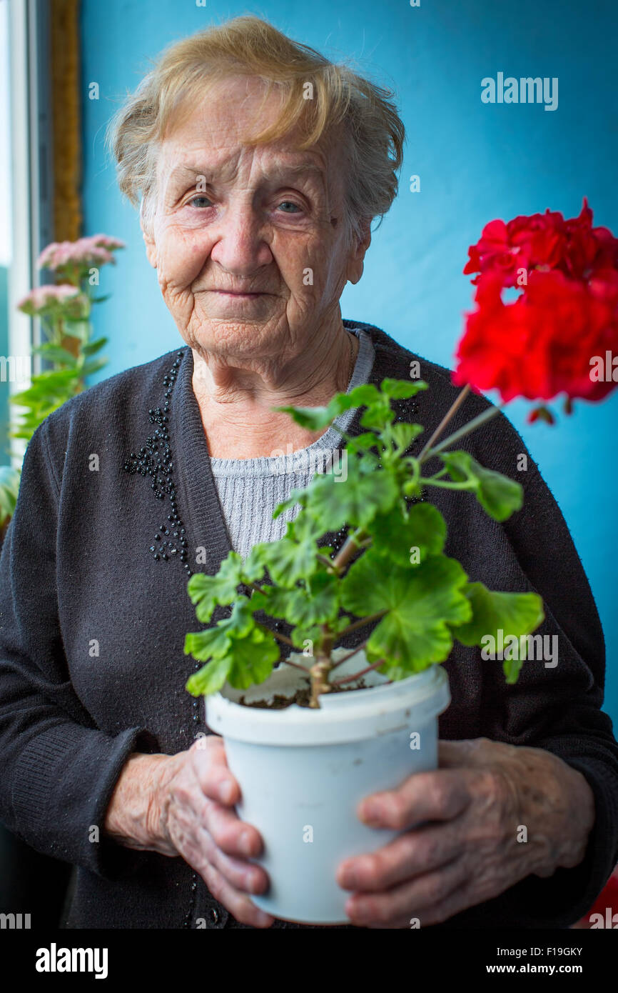 Elderly flower hi-res stock photography and images - Alamy