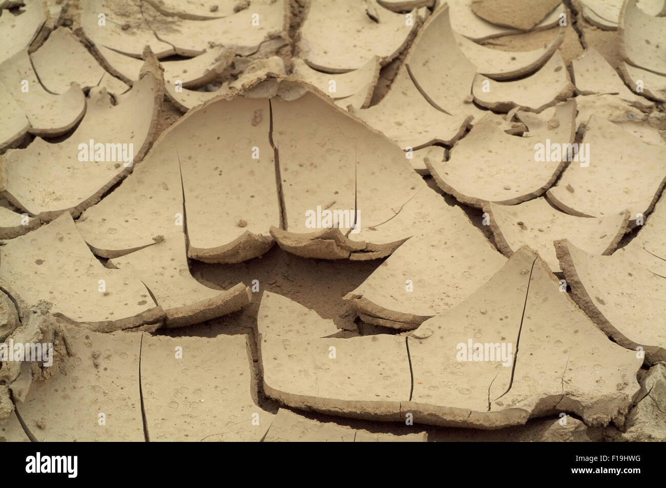 Silt loam soil hi-res stock photography and images - Alamy