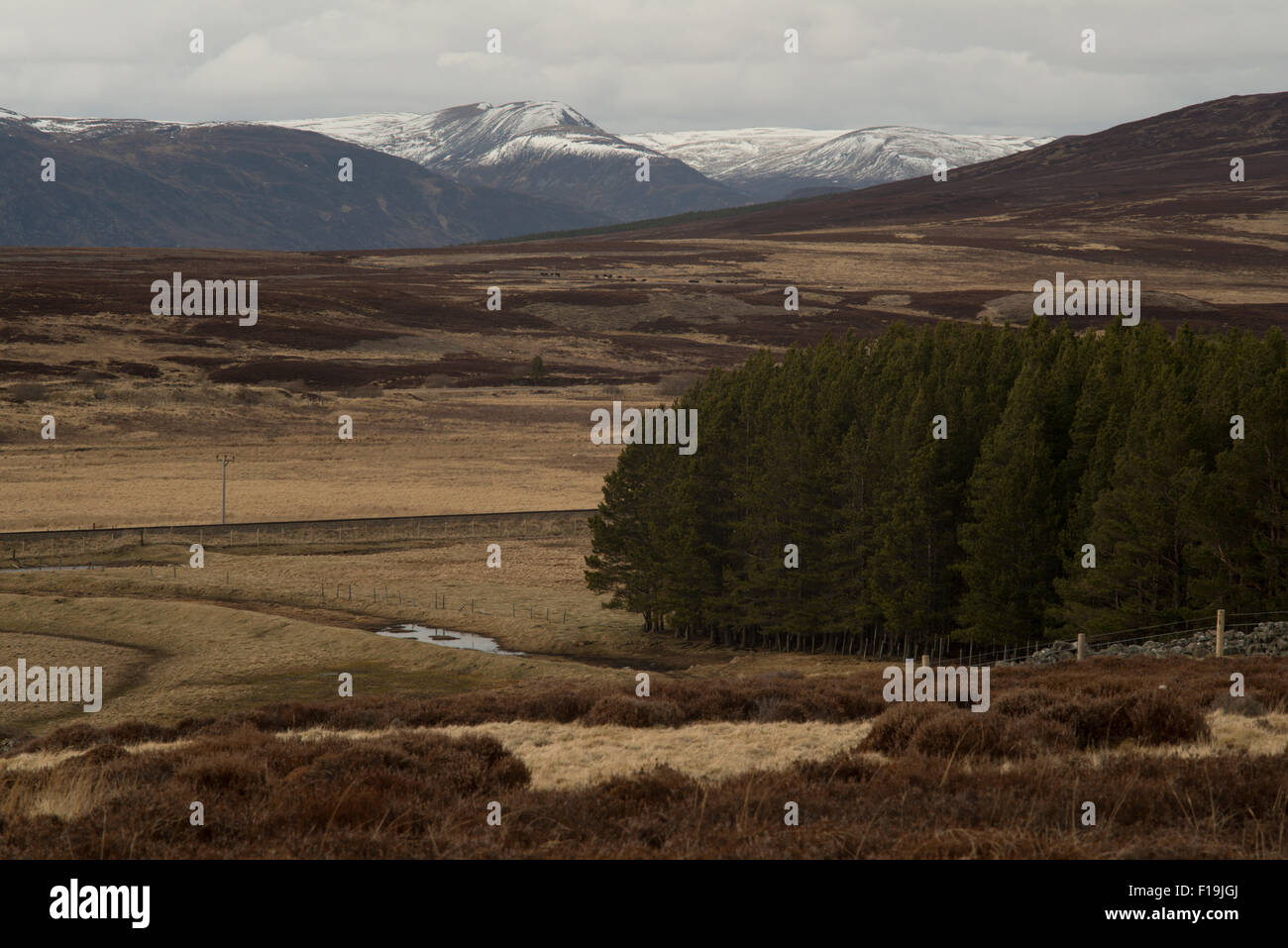 Highland spring rail hi-res stock photography and images - Alamy