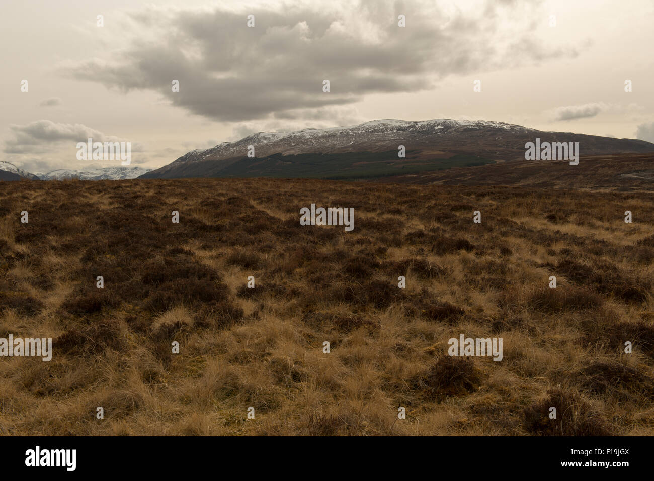 Mountains and wide empty spaces hi-res stock photography and images - Alamy