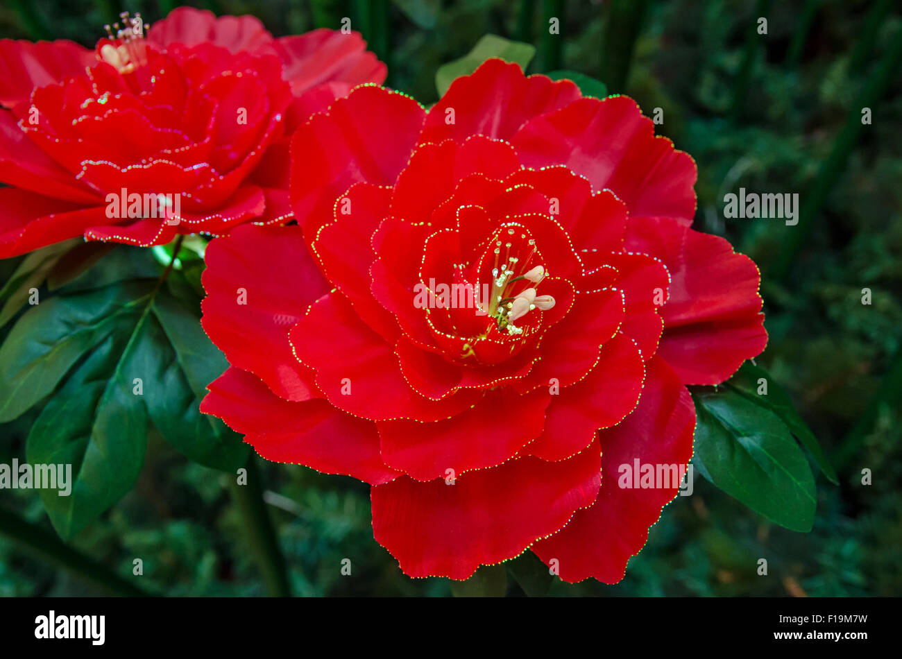 Colorful Flowers Decorating For Chinese New Year Stock Photo Alamy colorful-flowers-decorating-for-chinese-new-year-stock-photo-alamy