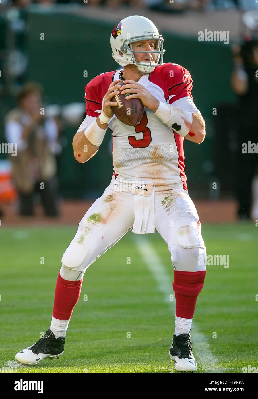 Carson Palmer Mustache