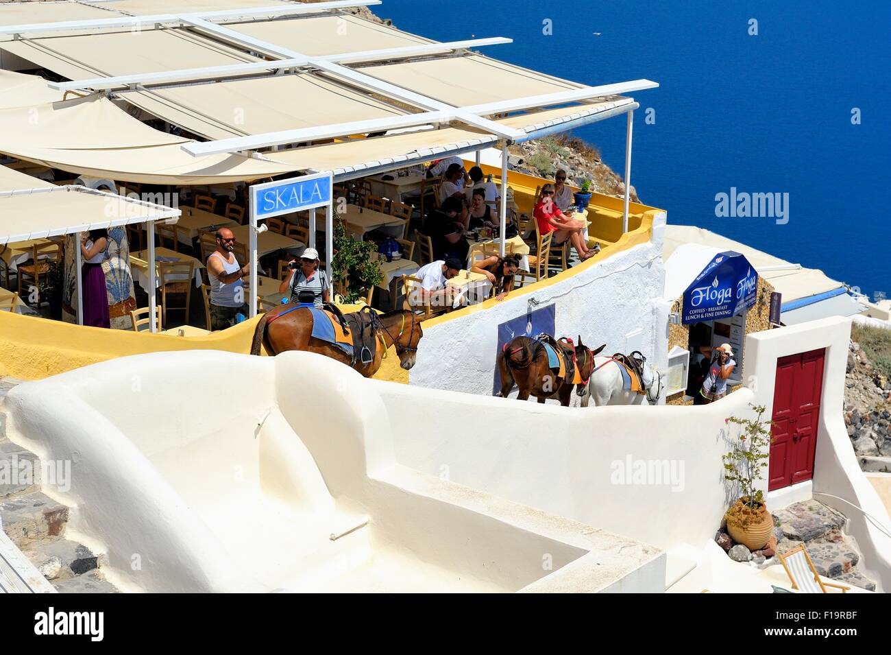 Donkeys walking down by The Skala restaurant in Oia Santorini Greece ...