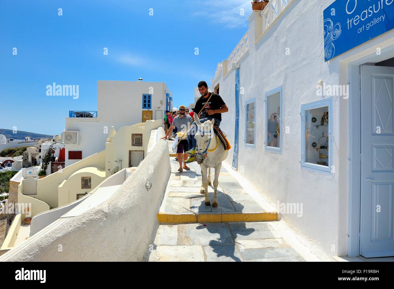 A donkey driver riding his donkey through the village of Oia Santorini ...