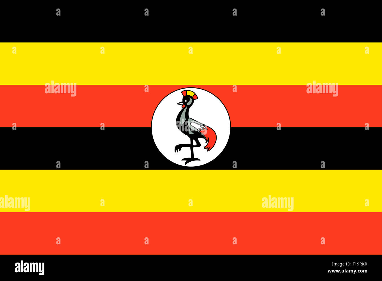 National flag of Uganda Stock Photo - Alamy