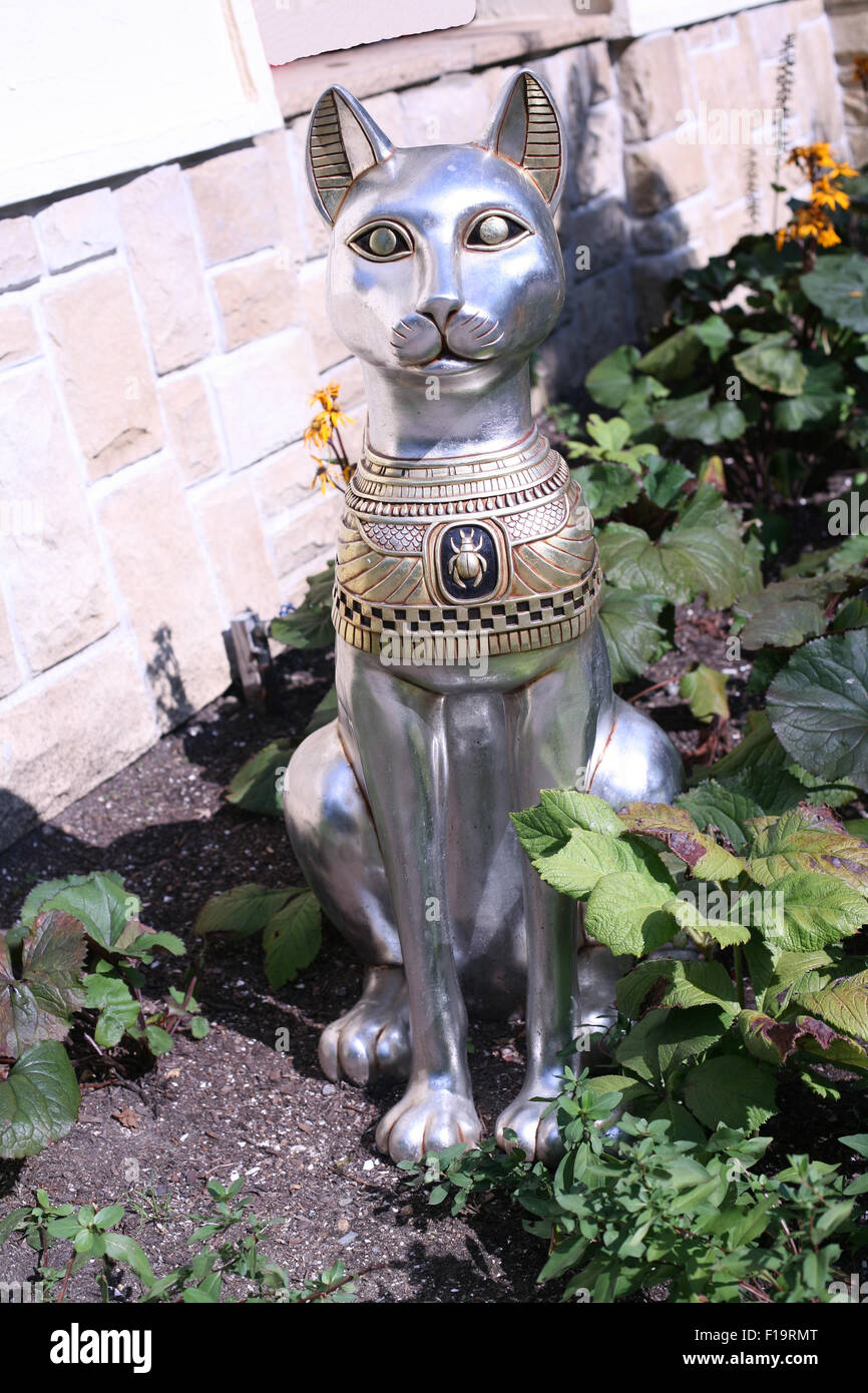 Silver dog hi-res stock photography and images - Alamy