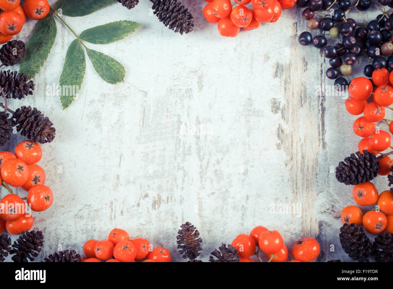 Vintage photo, Frame of autumn fruits of forest and copy space for text ...