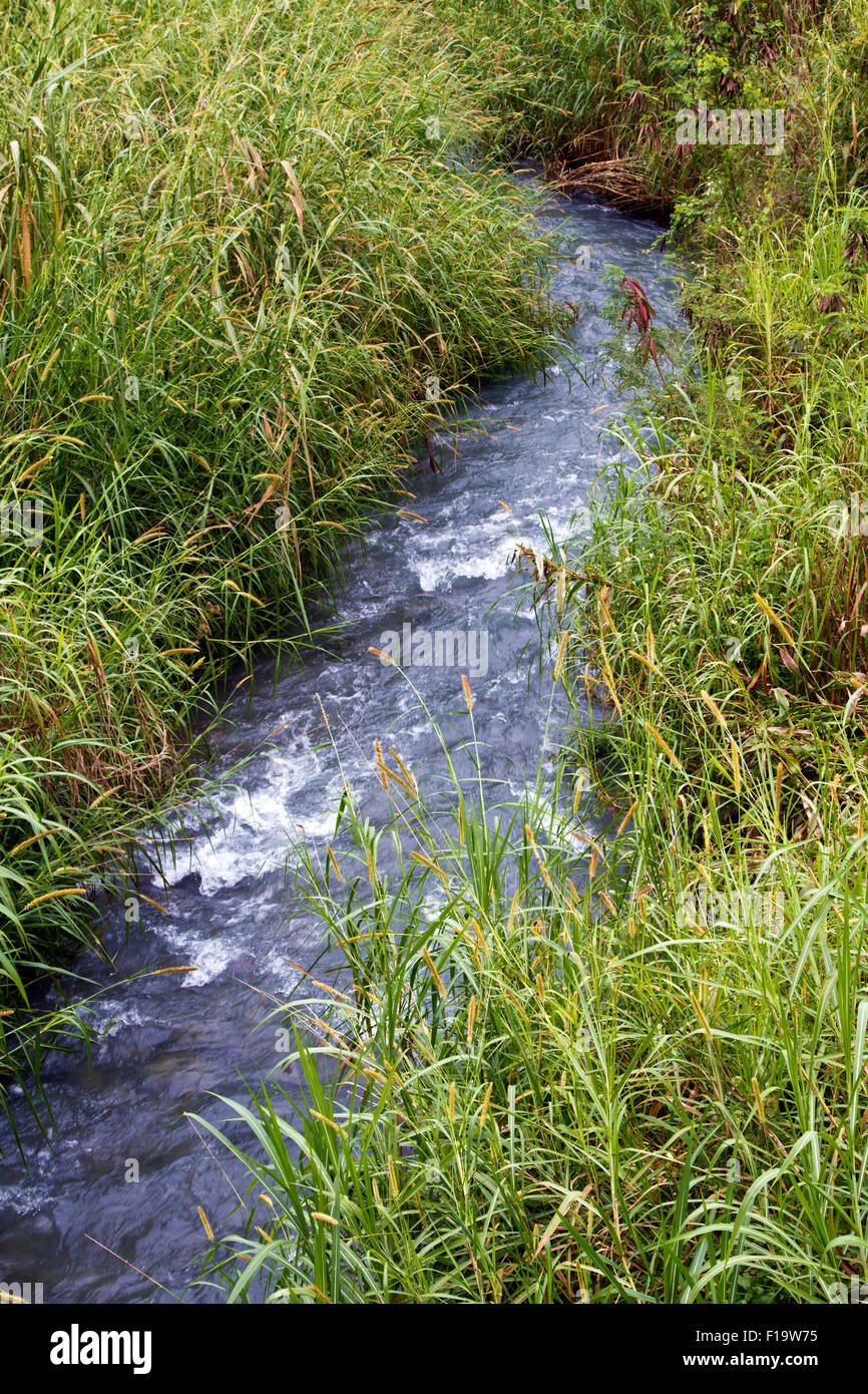 Canal with water hi-res stock photography and images - Alamy
