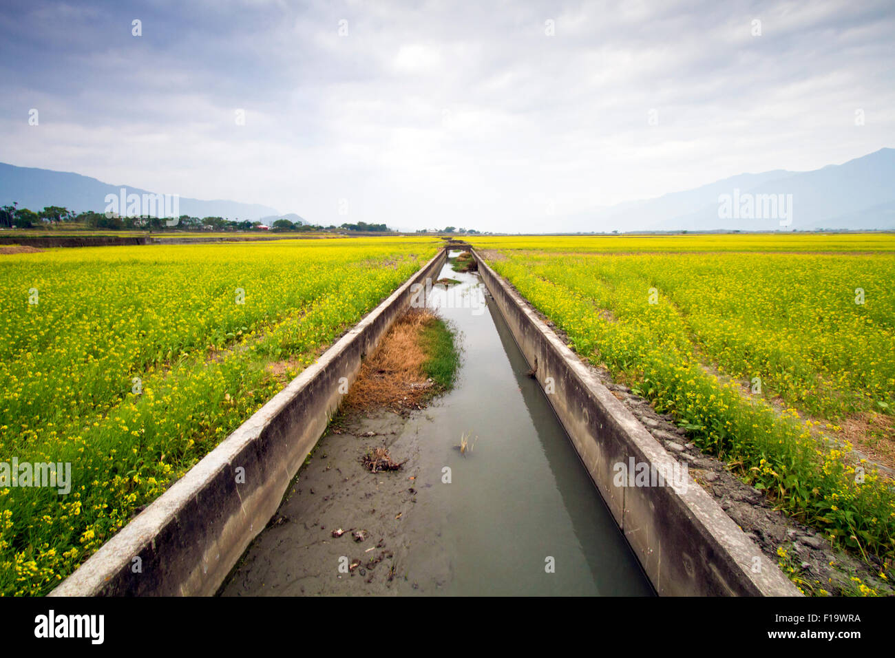Irrigation structure hi-res stock photography and images - Alamy