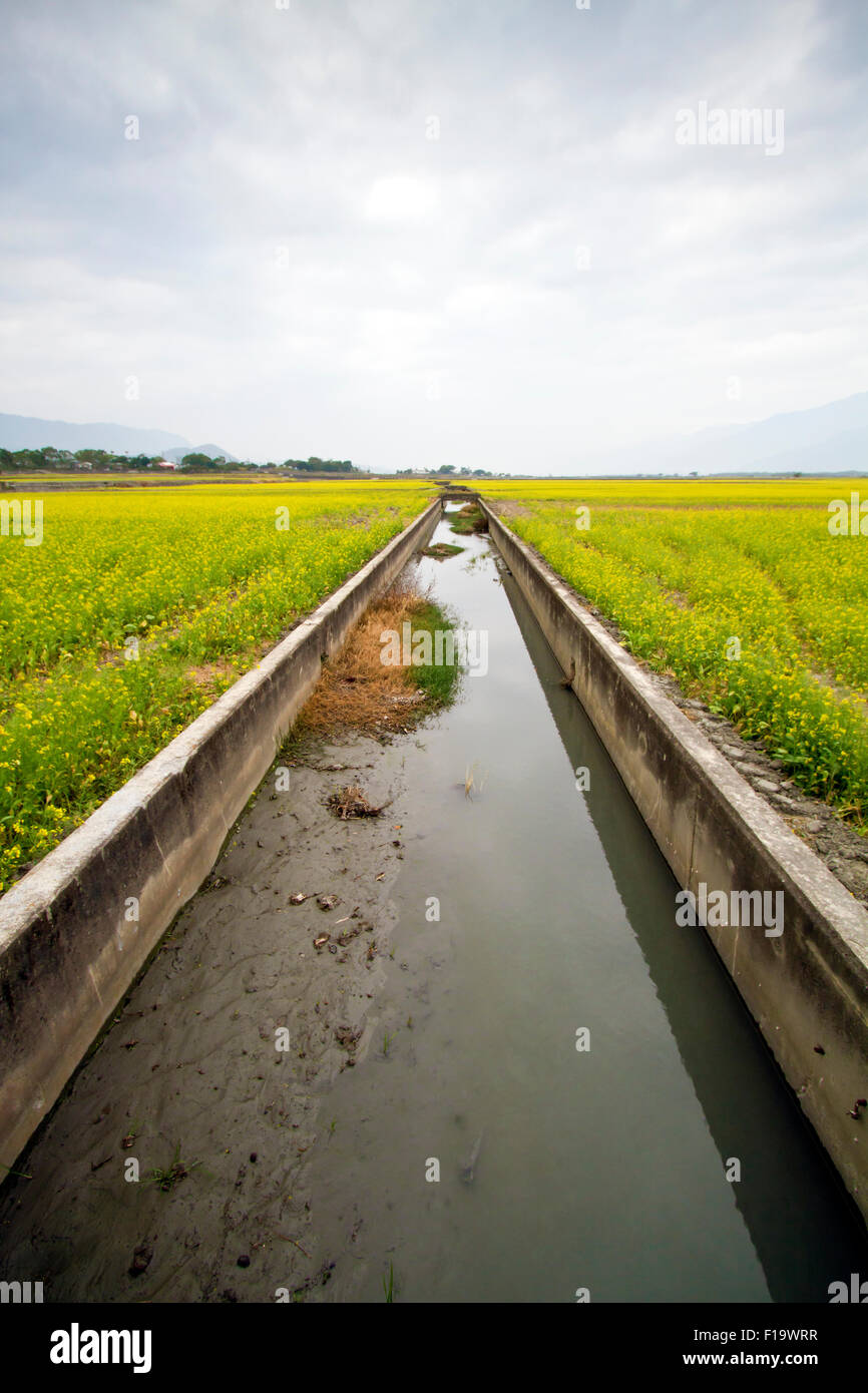 Canal supply water in irrigation Stock Photo - Alamy