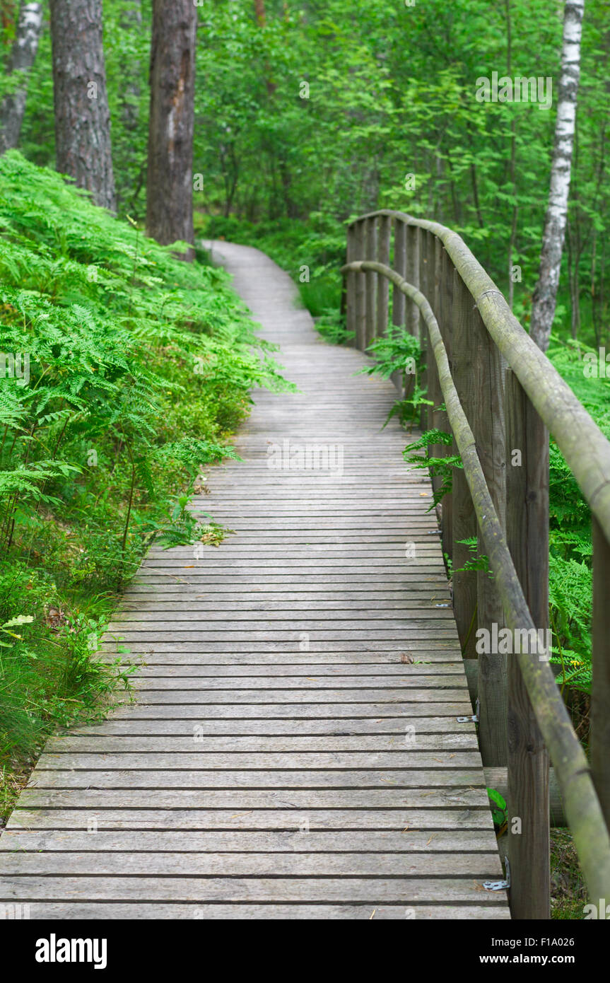 Wooden boardwalk with safety railing in summer forest Stock Photo - Alamy