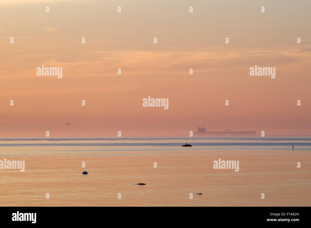 Cargo ship in blue water haze after sunset Stock Photo - Alamy