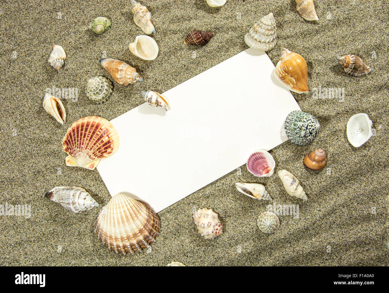 postcard in the sand retained by shells Stock Photo - Alamy
