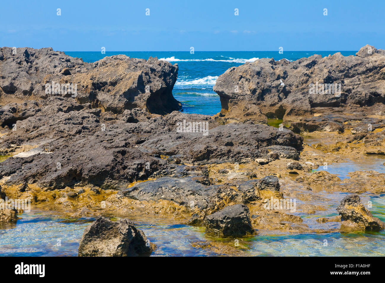 Natural rocky breakwater at seashore Stock Photo - Alamy