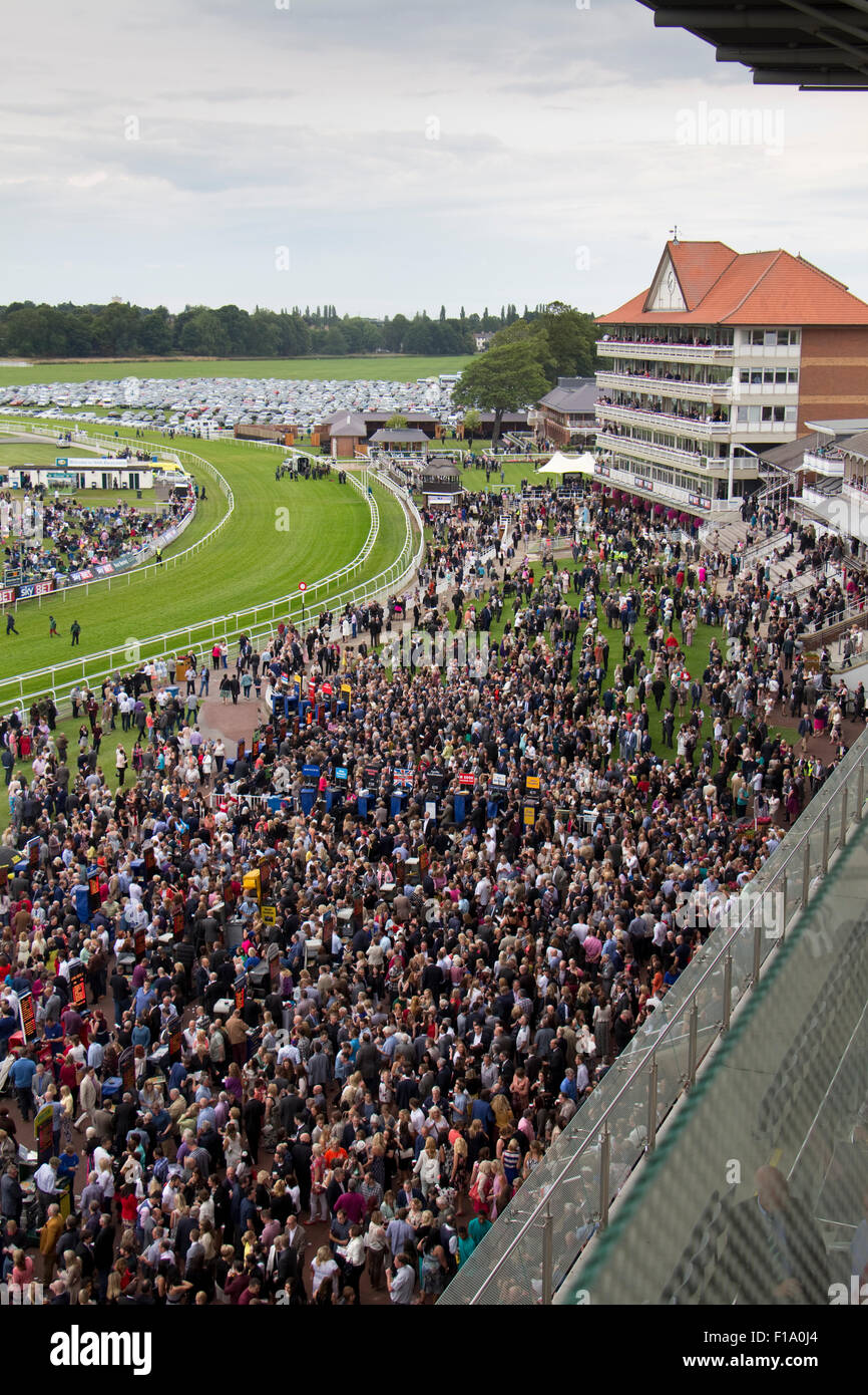 York Races Summer 2015 with Tom Jones Stock Photo - Alamy