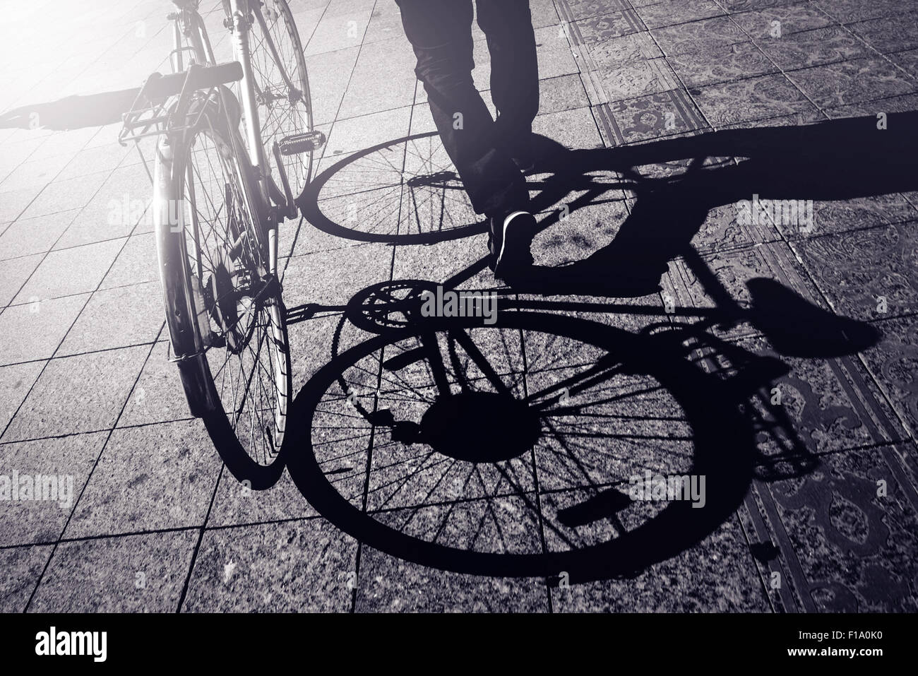 Man pushing bike shadow hi-res stock photography and images - Alamy
