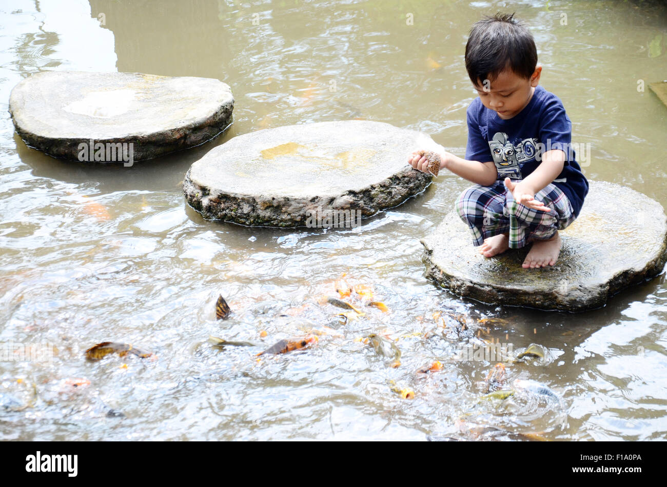 a 4 year boy feeding fish at park Stock Photo - Alamy