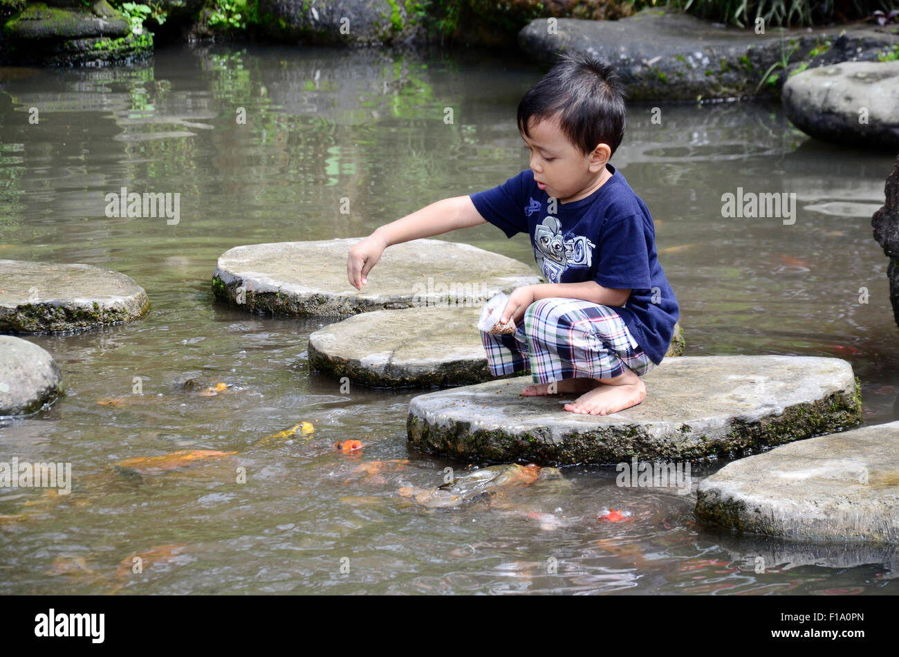 a 4 year boy feeding fish at park Stock Photo - Alamy