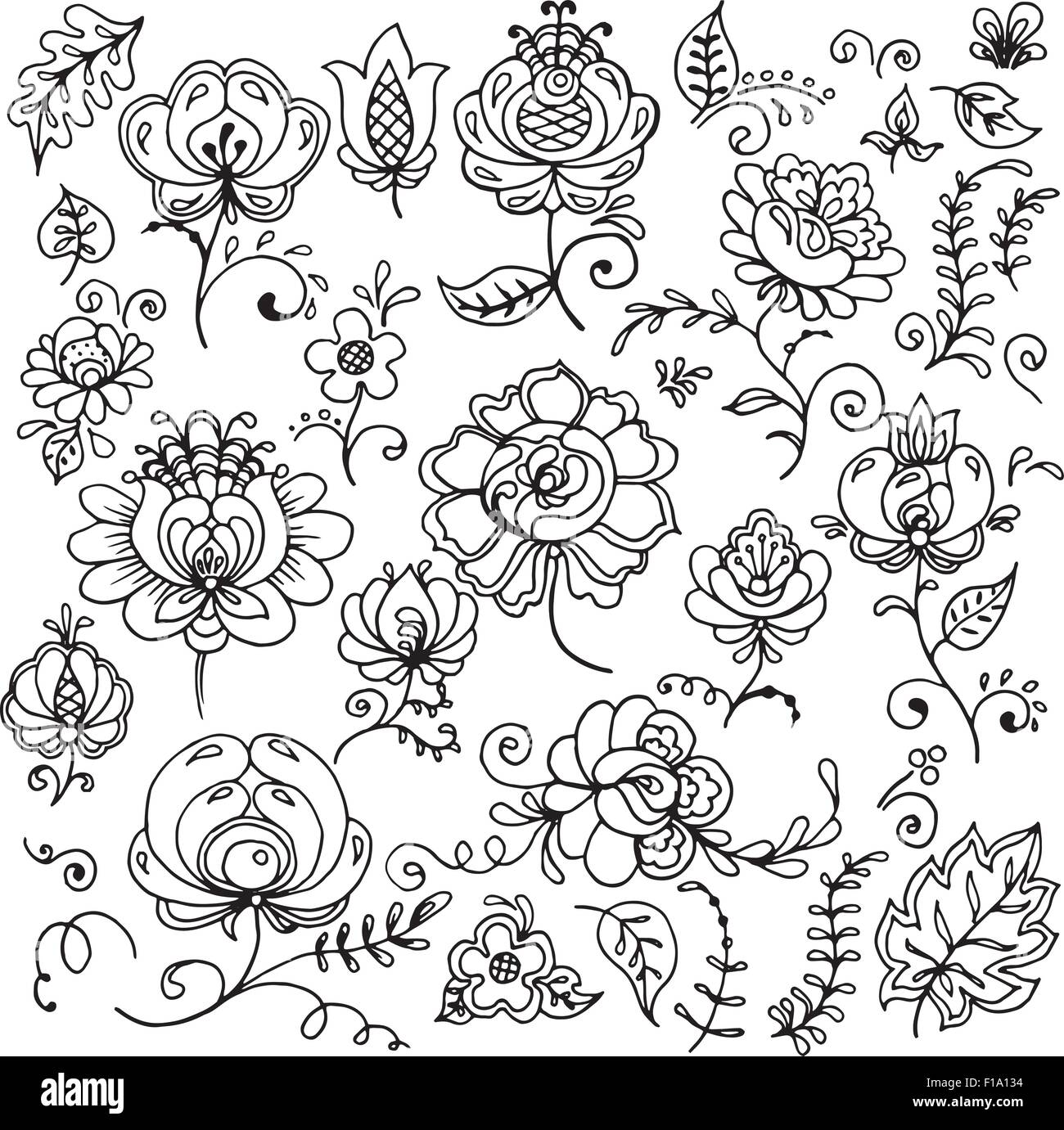 Set of hand-drawn floral elements Stock Vector Image & Art - Alamy