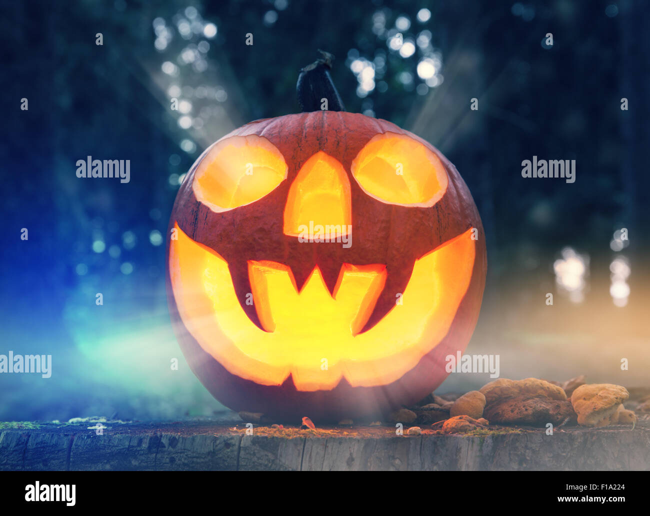 Horizontal background for autumn with pumpkin hi-res stock photography ...