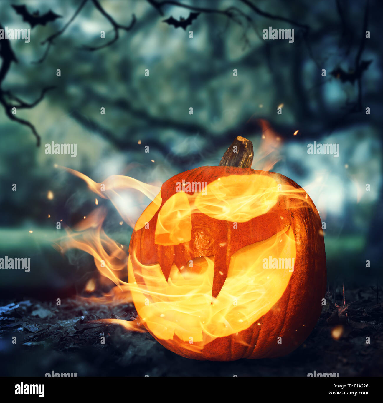 Burning halloween pumpkin in a forest at night Stock Photo - Alamy
