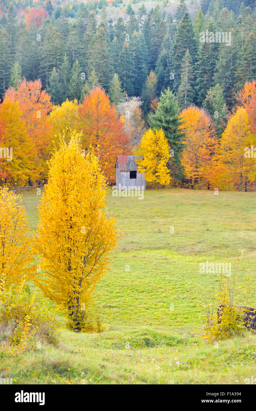 Fall colors around a cottage house Stock Photo - Alamy