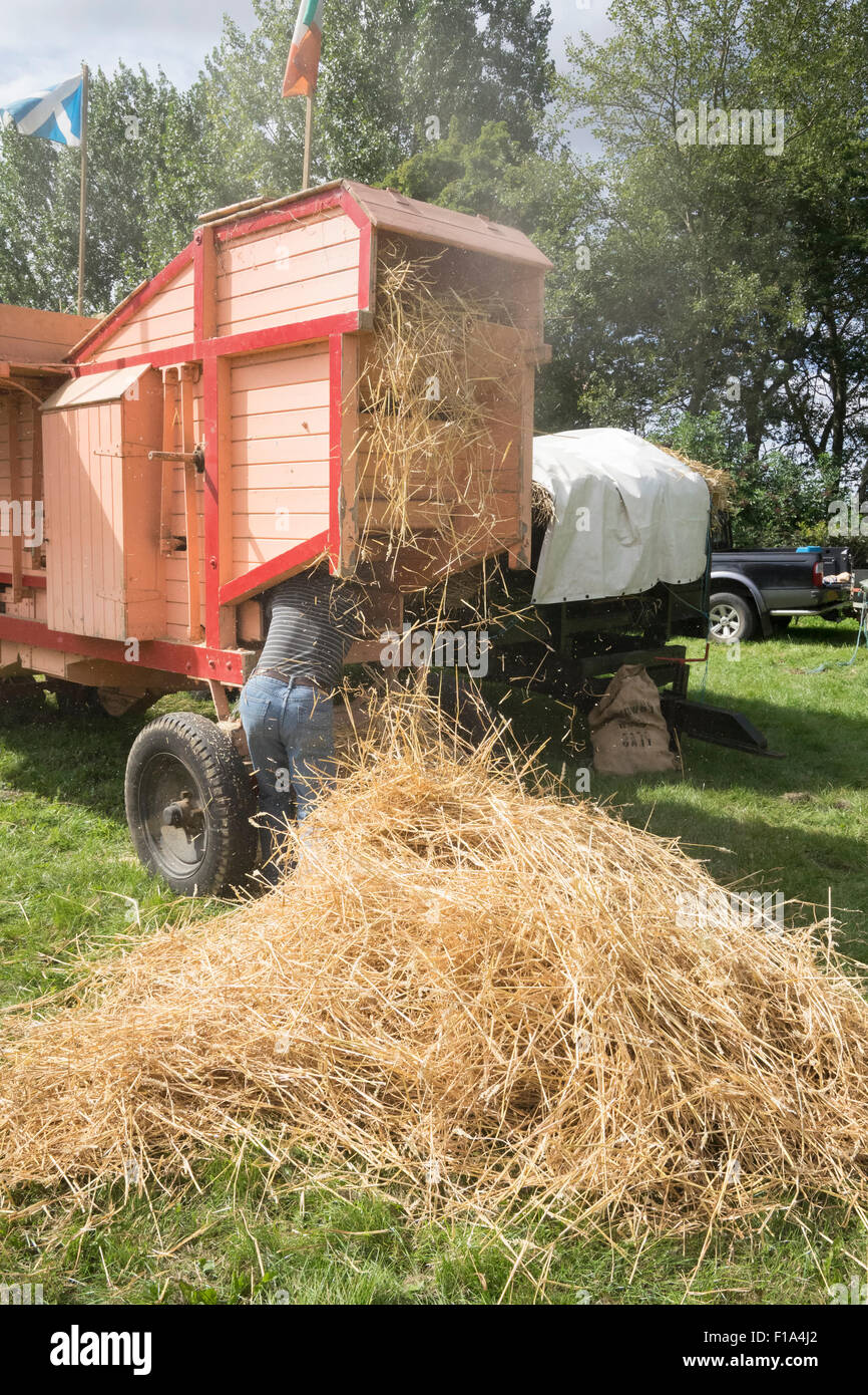 OLD WHEAT THRESHER Stock Photo - Alamy