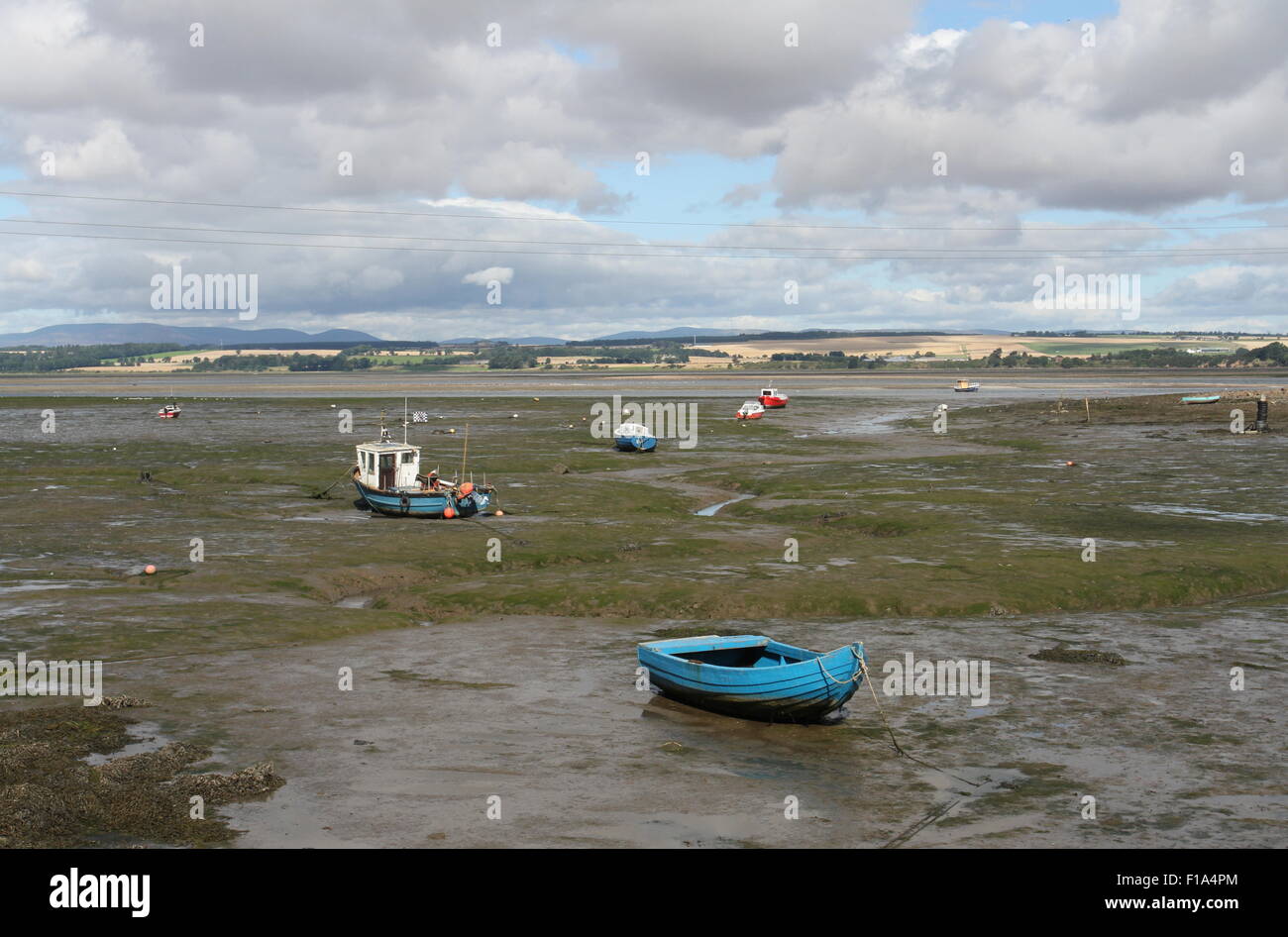 Viaduct montrose scotland hi-res stock photography and images - Alamy
