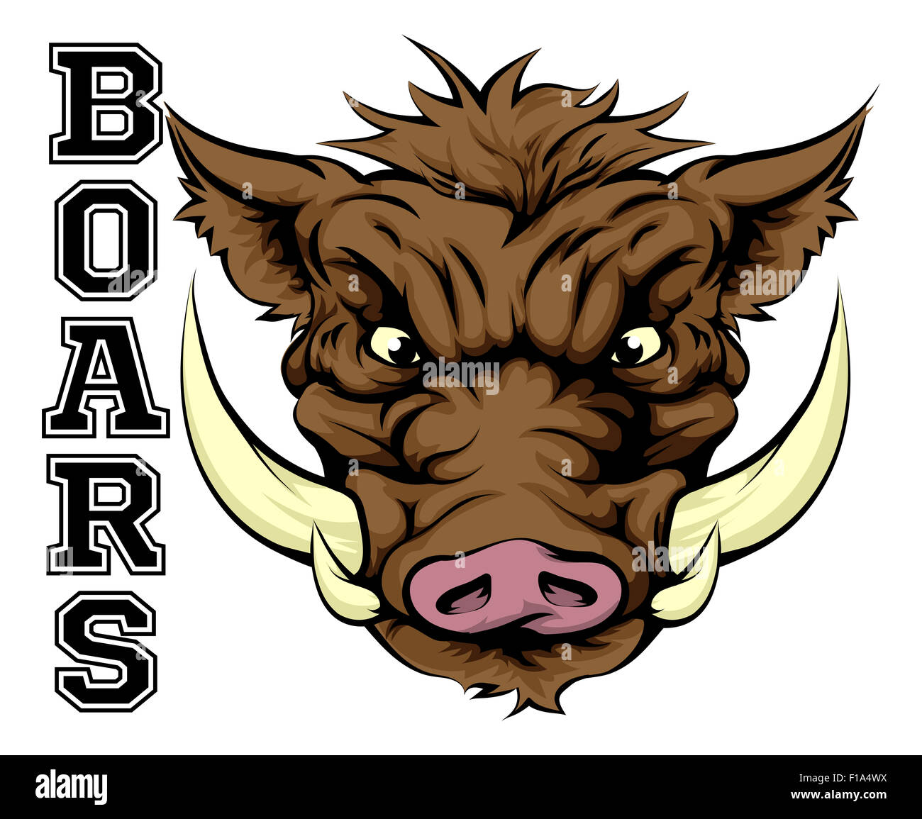 Wild boars teeth hi-res stock photography and images - Alamy