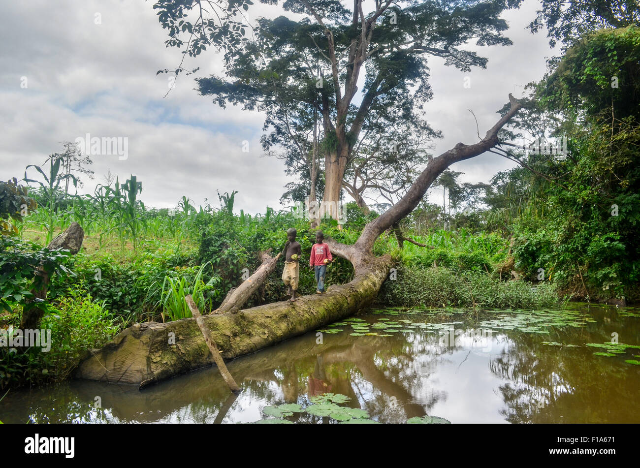 Kids walking on a wood log near water in Ivory Coast Stock Photo - Alamy