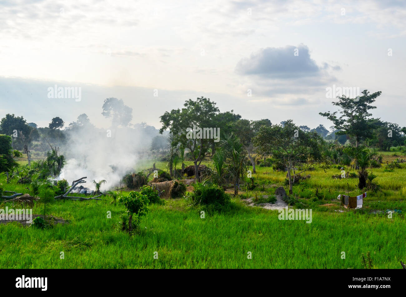 Ivory coast landscape hi-res stock photography and images - Alamy