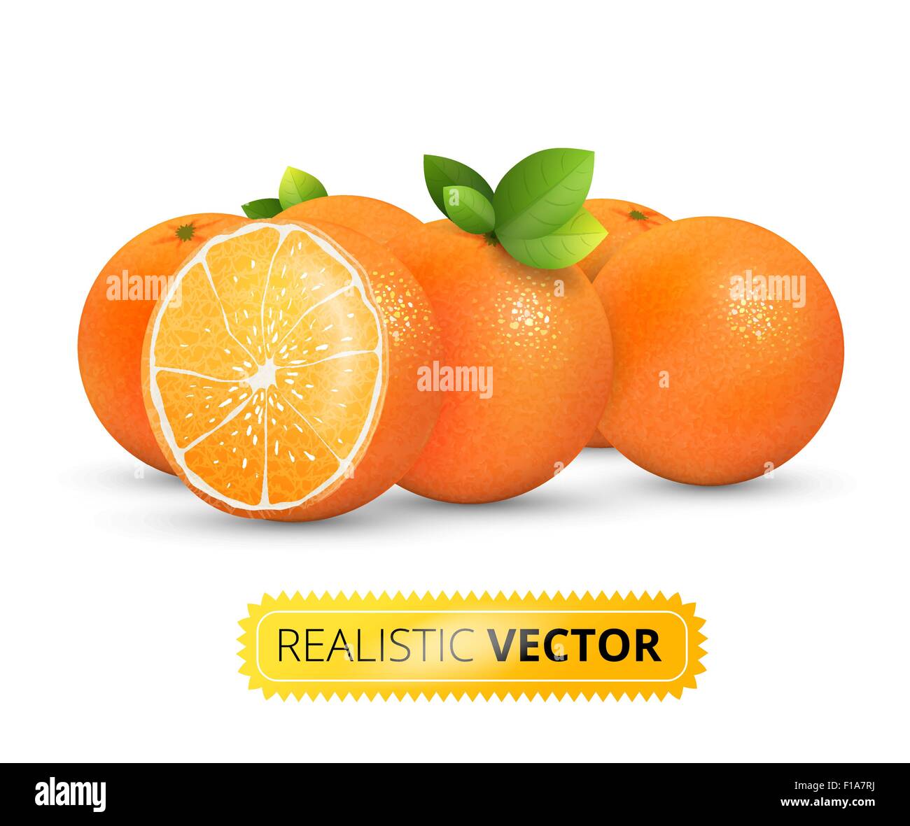 Slice citrus fruit oranges Stock Vector Images - Alamy