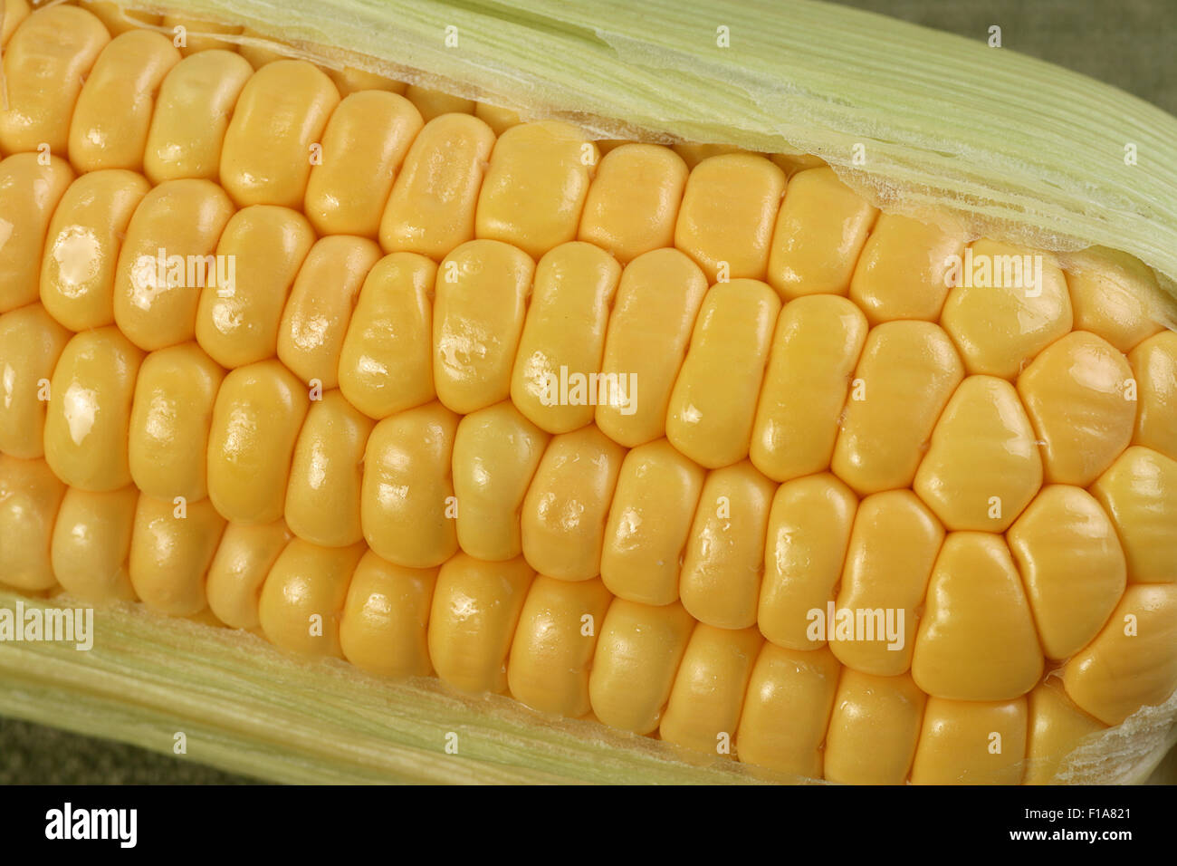 close up of sweetcorn on the cob Stock Photo - Alamy