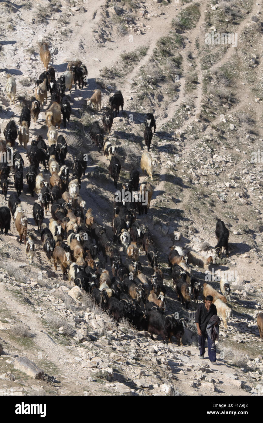 Machaerus, Mukawir - Jordan Stock Photo - Alamy