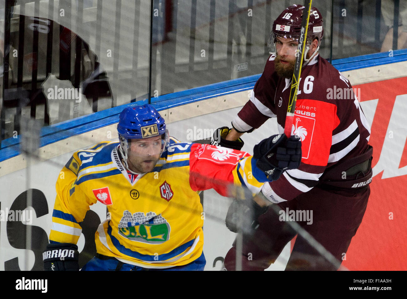 Joakim Jensen of Storhamar celebrates a goal, pictured right Adam ...