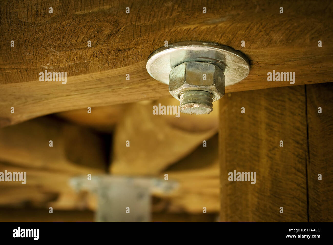 Wall nut tree hi-res stock photography and images - Alamy