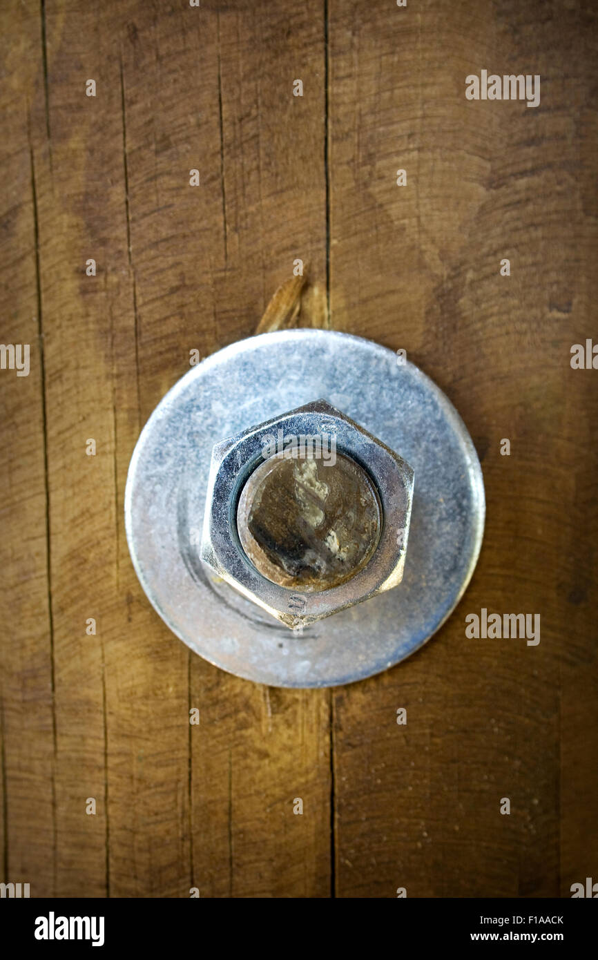 Metal tree support hi-res stock photography and images - Alamy
