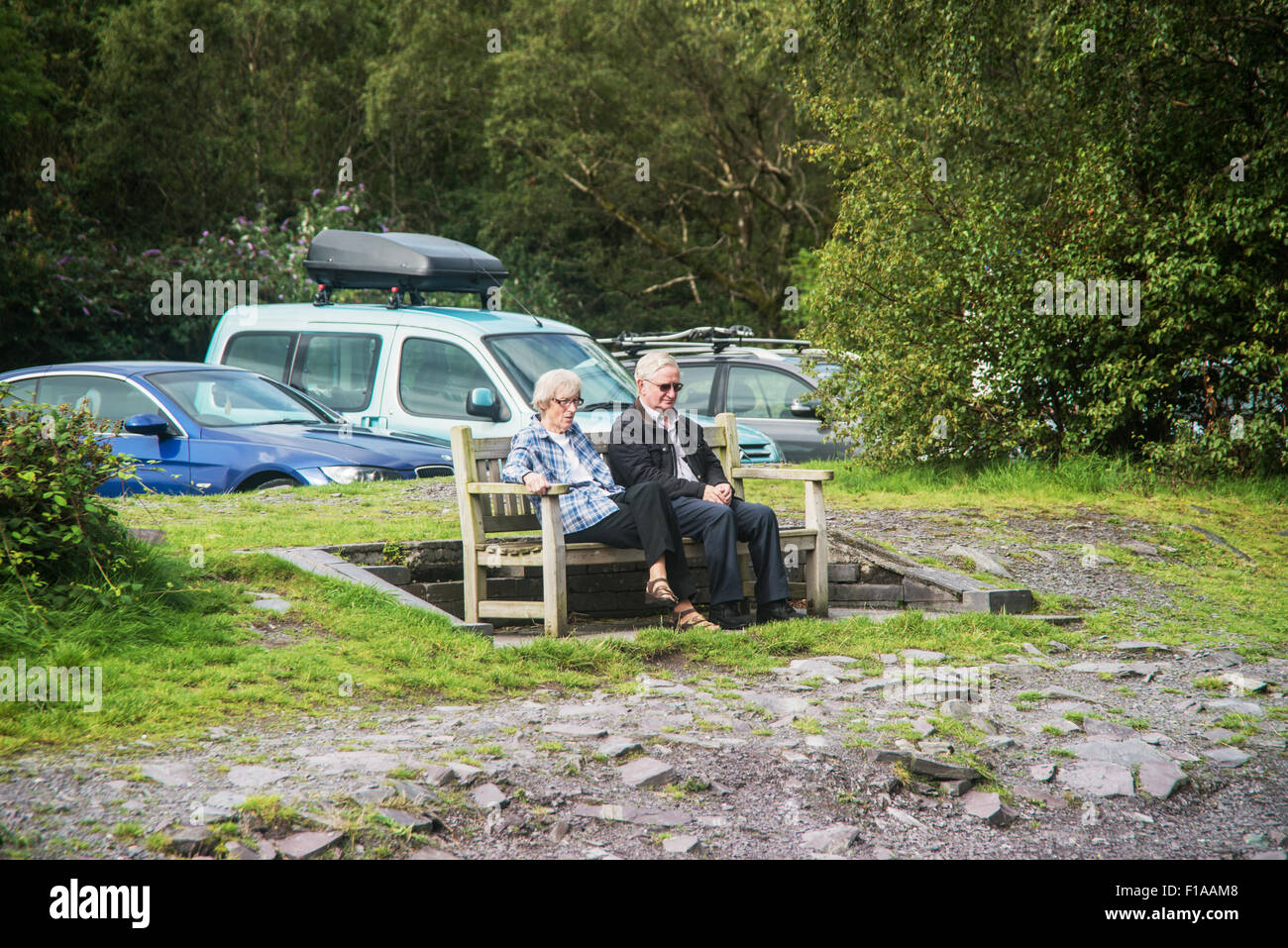A Display of poppy/s at Plymouth Hoe UK Stock Photo - Alamy