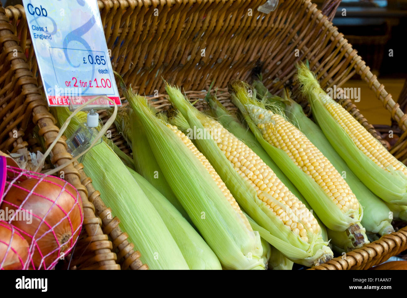 Whole corn cobs on sale Stock Photo - Alamy