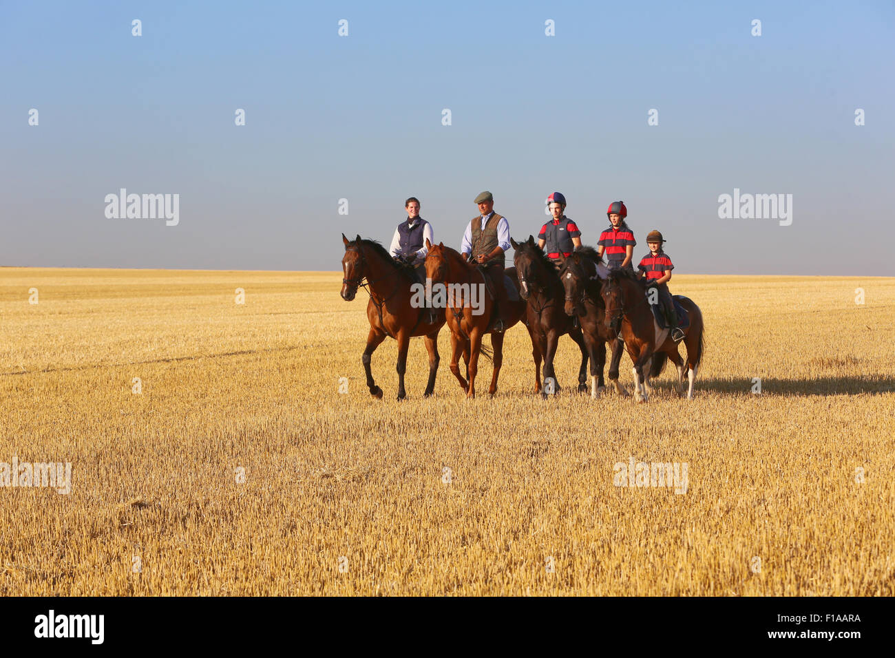 Ingelheim, Germany, Family makes a ride on a mown field Stock Photo - Alamy