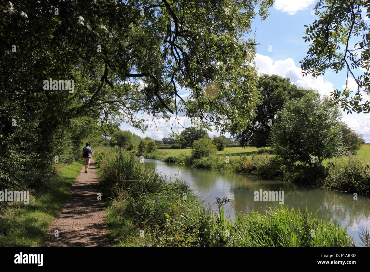 The Basingstoke Canal, England UK Stock Photo - Alamy