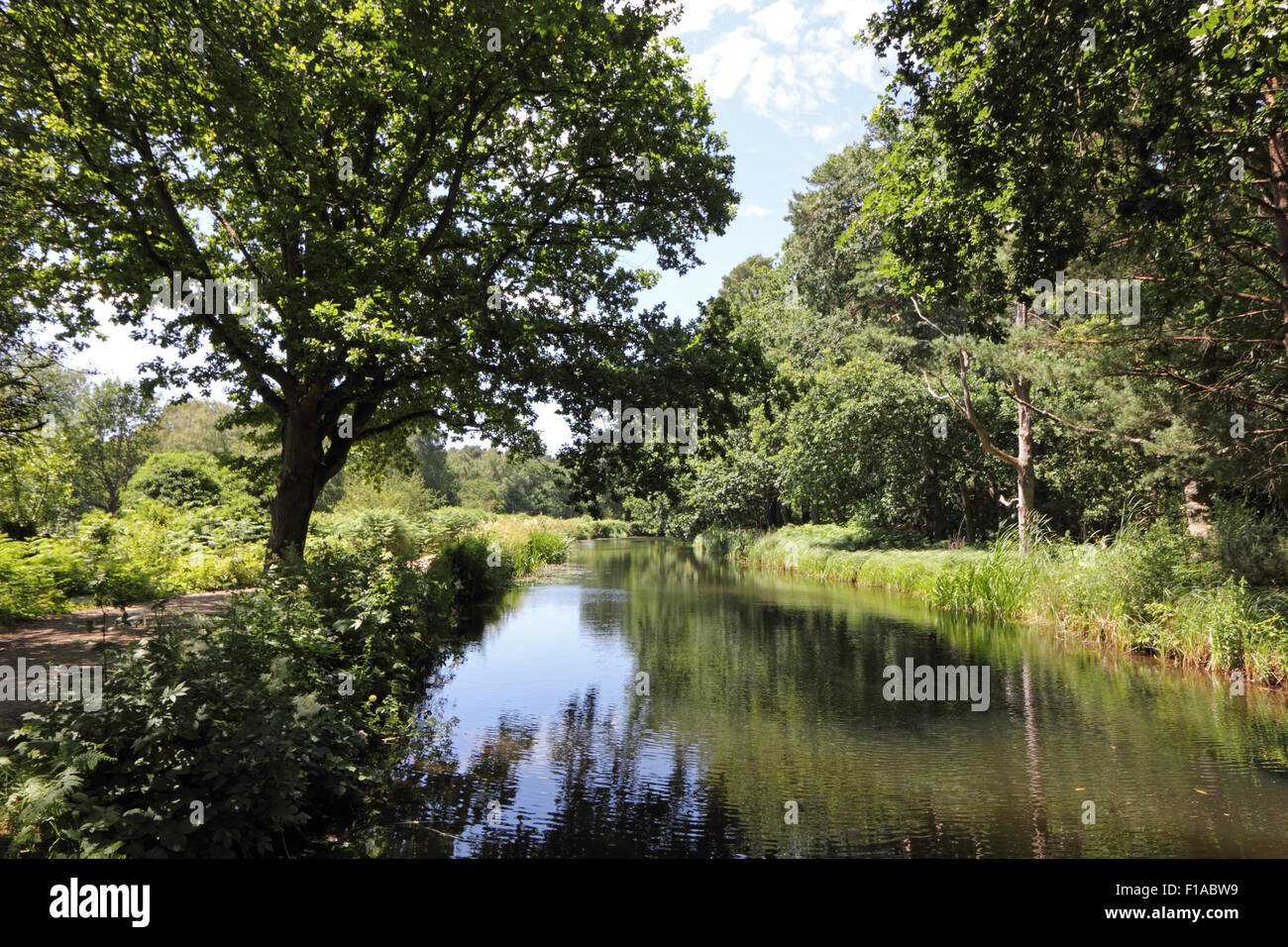 The Basingstoke Canal, England UK Stock Photo - Alamy