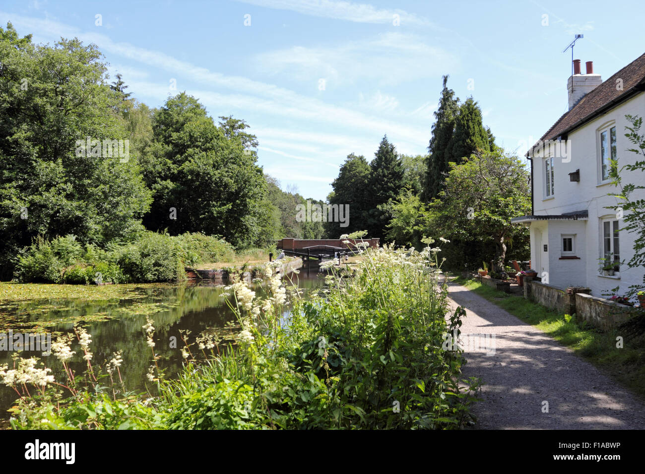 The Basingstoke Canal, England UK Stock Photo - Alamy