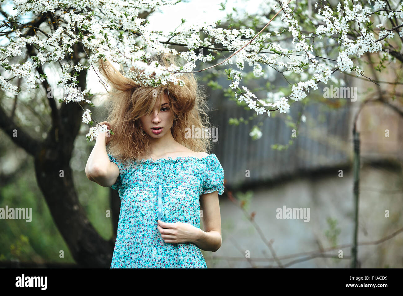 Portrait of a beautiful girl flowering trees Stock Photo - Alamy