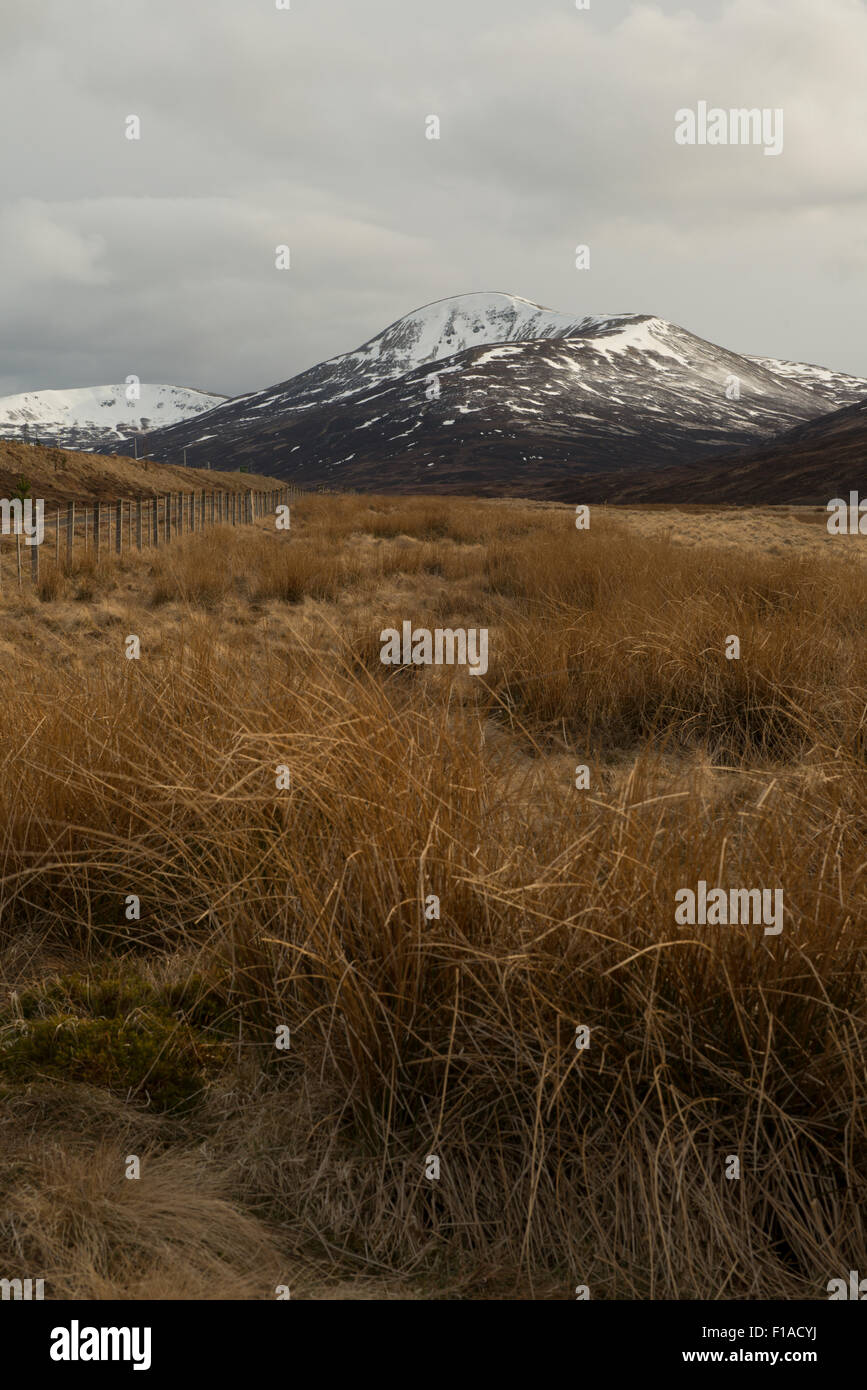 A' Mharconaich from North, at dusk,Glen Truim,Highland, Scotland,UK ...
