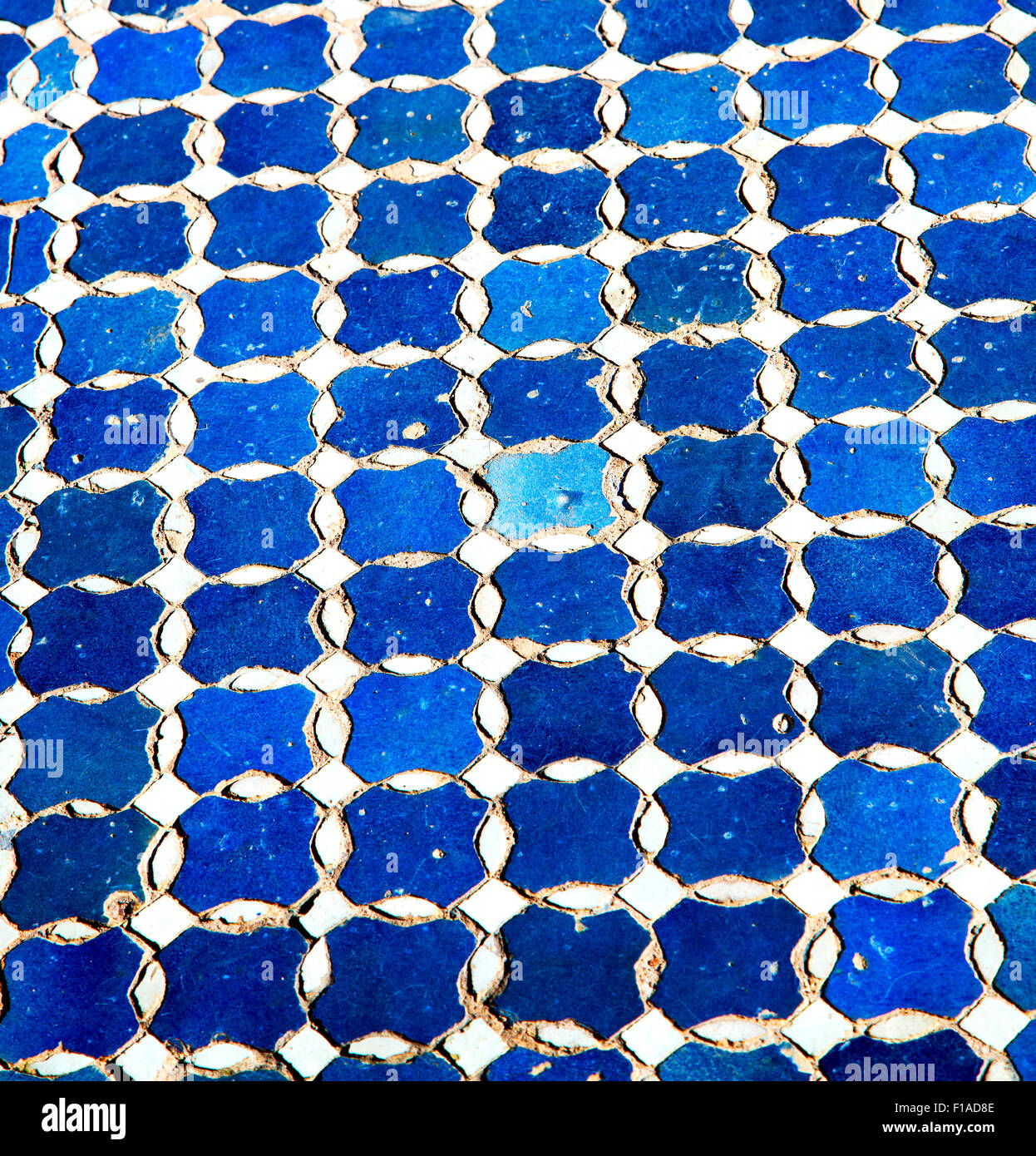 abstract morocco in africa tile the colorated pavement background ...